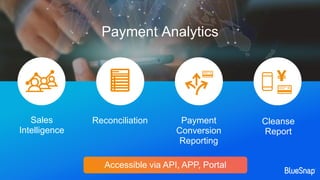 BlueSnap All-in-one Payment Platform Overview | PPT