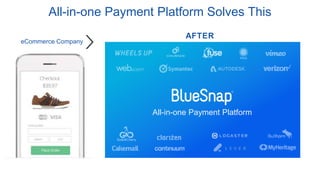 BlueSnap All-in-one Payment Platform Overview | PPT