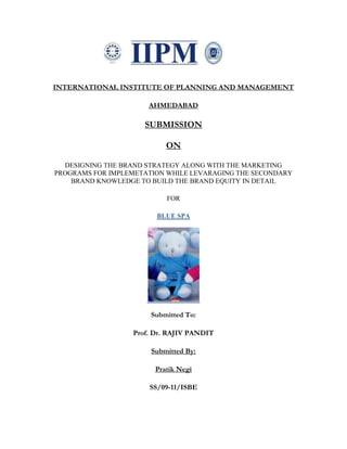 Blue Spa [Brand Management] Pratik Negi | DOCX