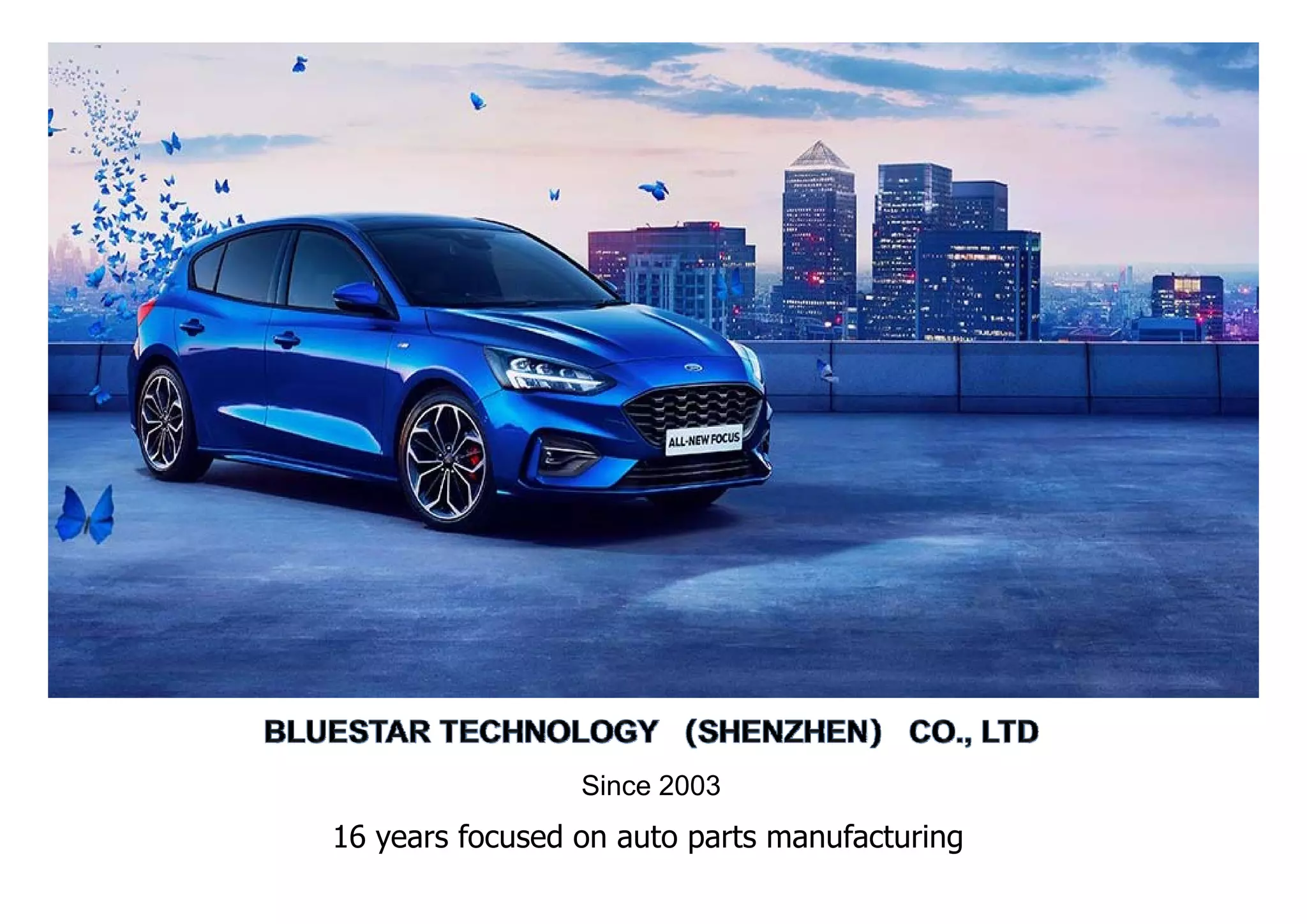 Bluestar Automotive Capacity | PDF