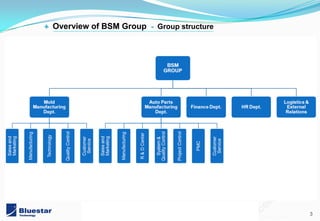 Bluestar profile - Mold Maker, Tool Builder and Plastic Part ...