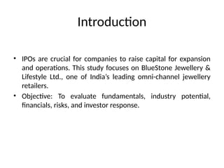 BlueStone_IPO_Analysis_Detailed_PPT.pptx