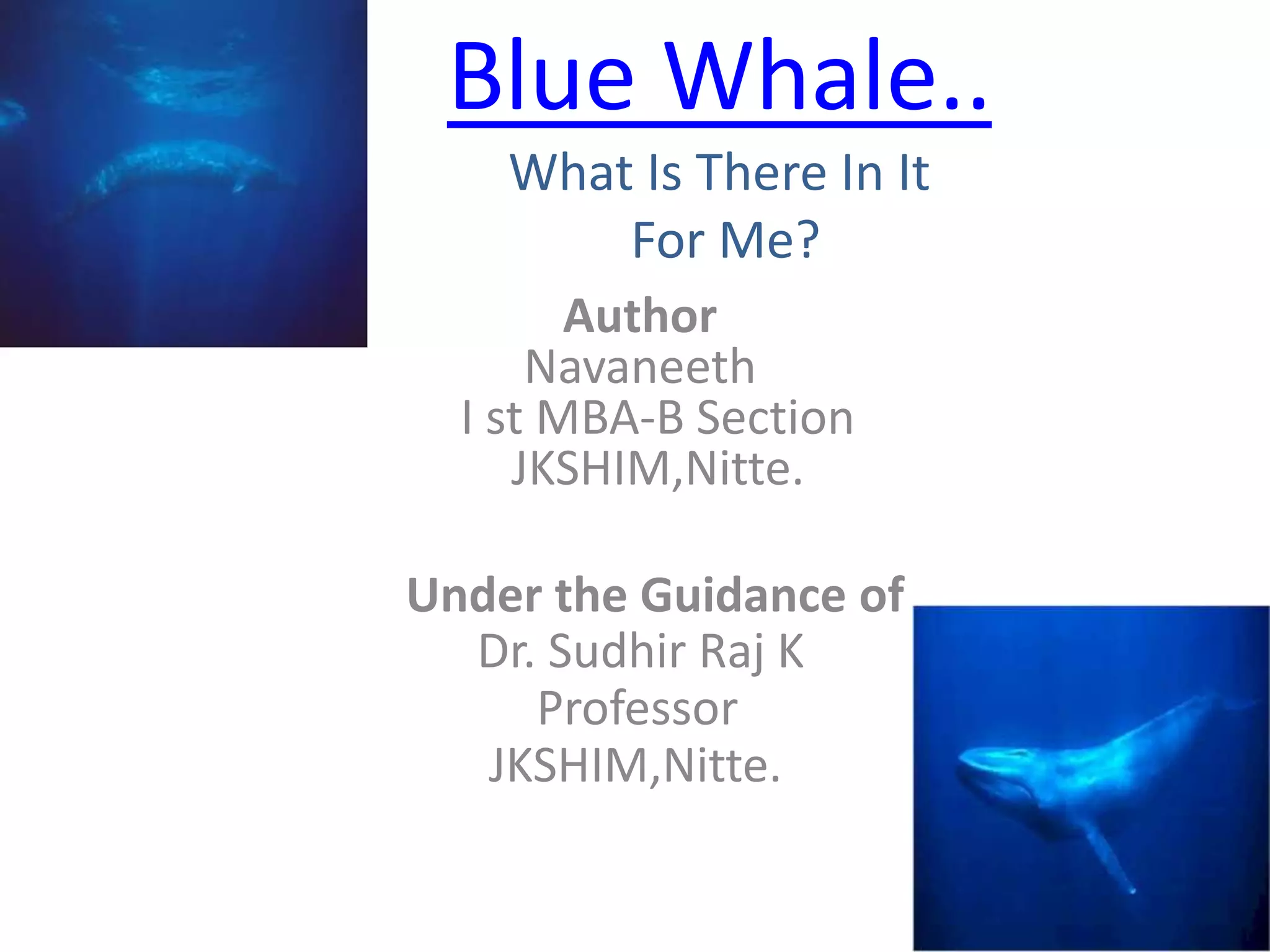 Blue whale | PPT