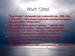 Blue whale[2] | PPT