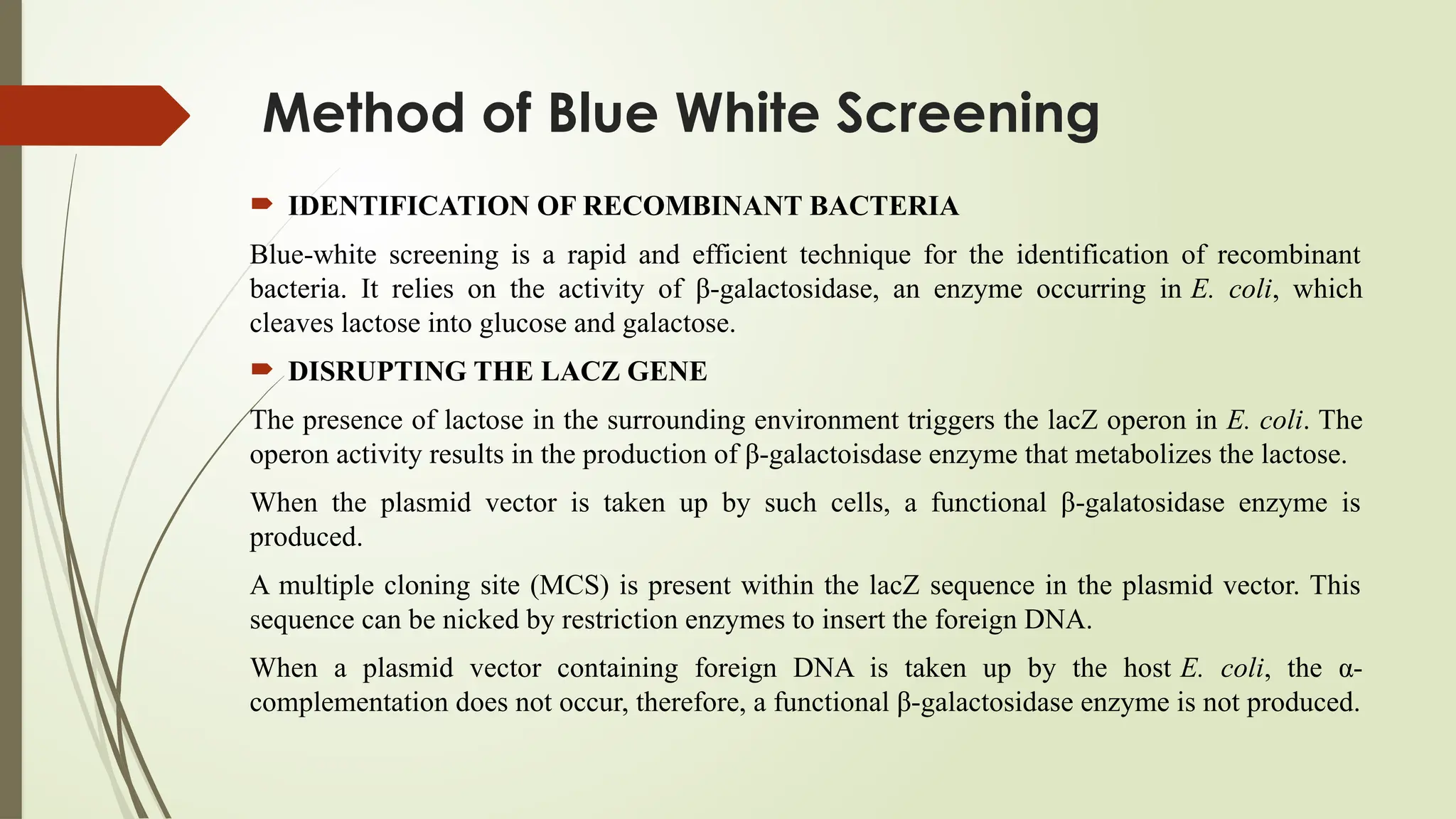Blue White Screening in biotechnology topic | PPTX