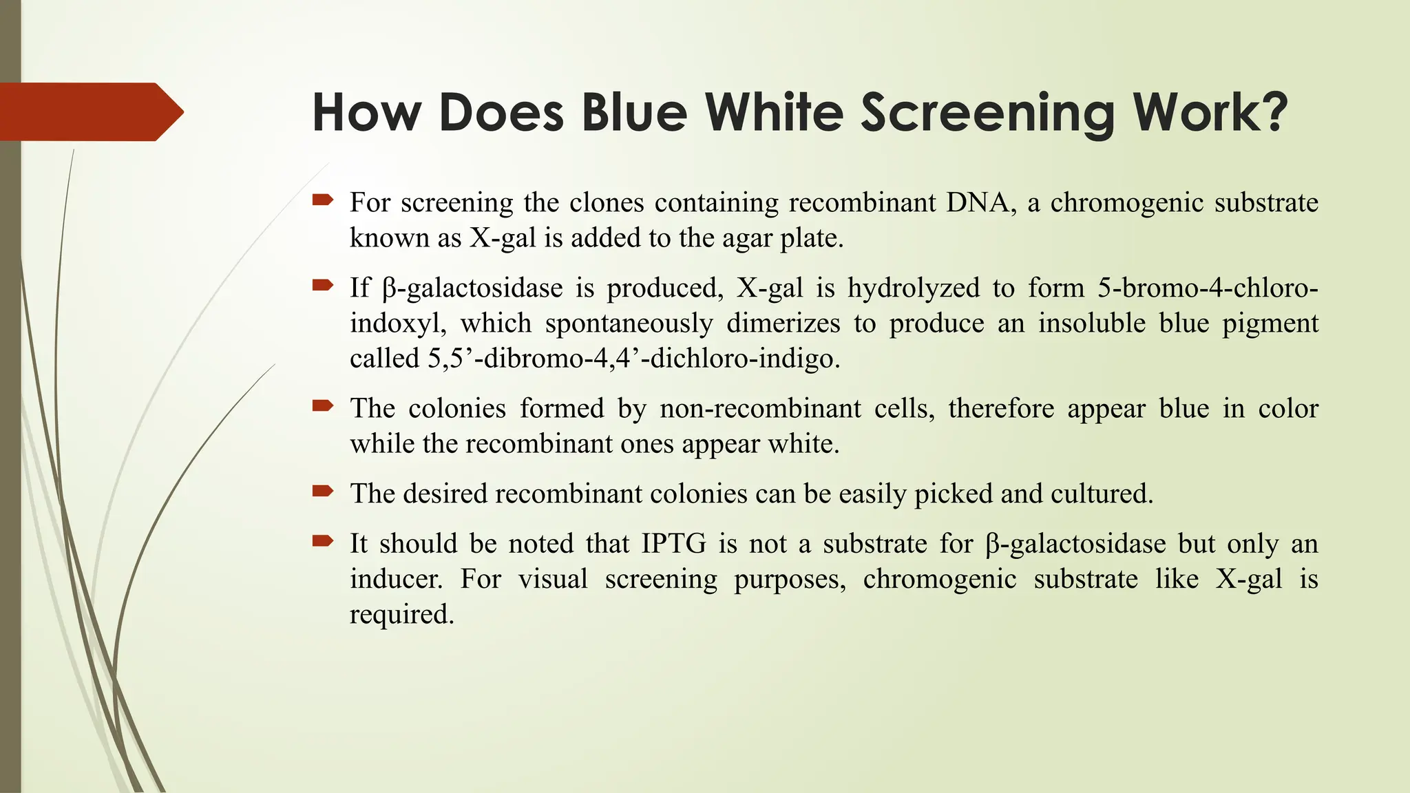 Blue White Screening in biotechnology topic | PPTX