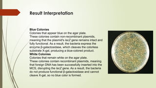 Blue White Screening in biotechnology topic | PPTX