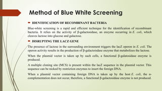 Blue White Screening in biotechnology topic | PPTX
