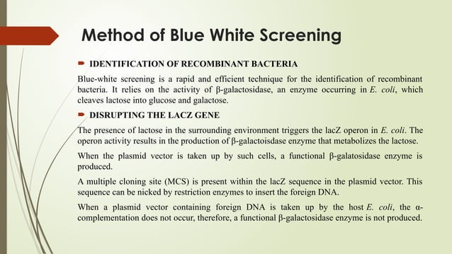 Blue White Screening in biotechnology topic | PPTX