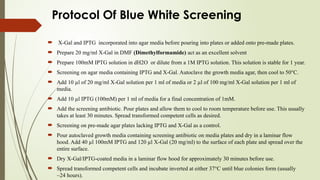 Blue White Screening in biotechnology topic | PPTX