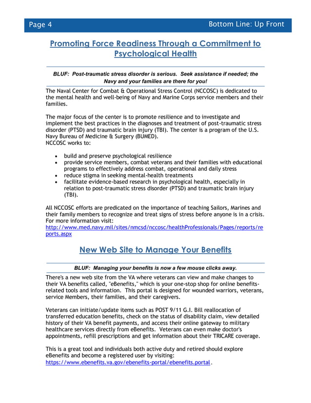 Bluf 02 11 - final | PDF | Free Download