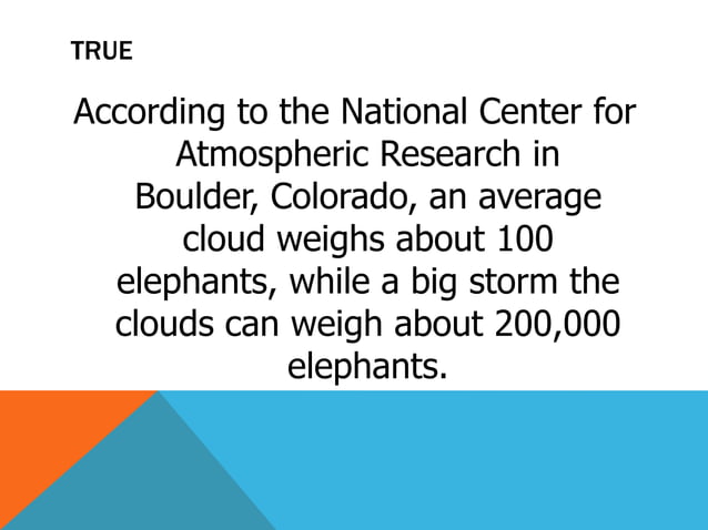 Bluff or true | PPTX