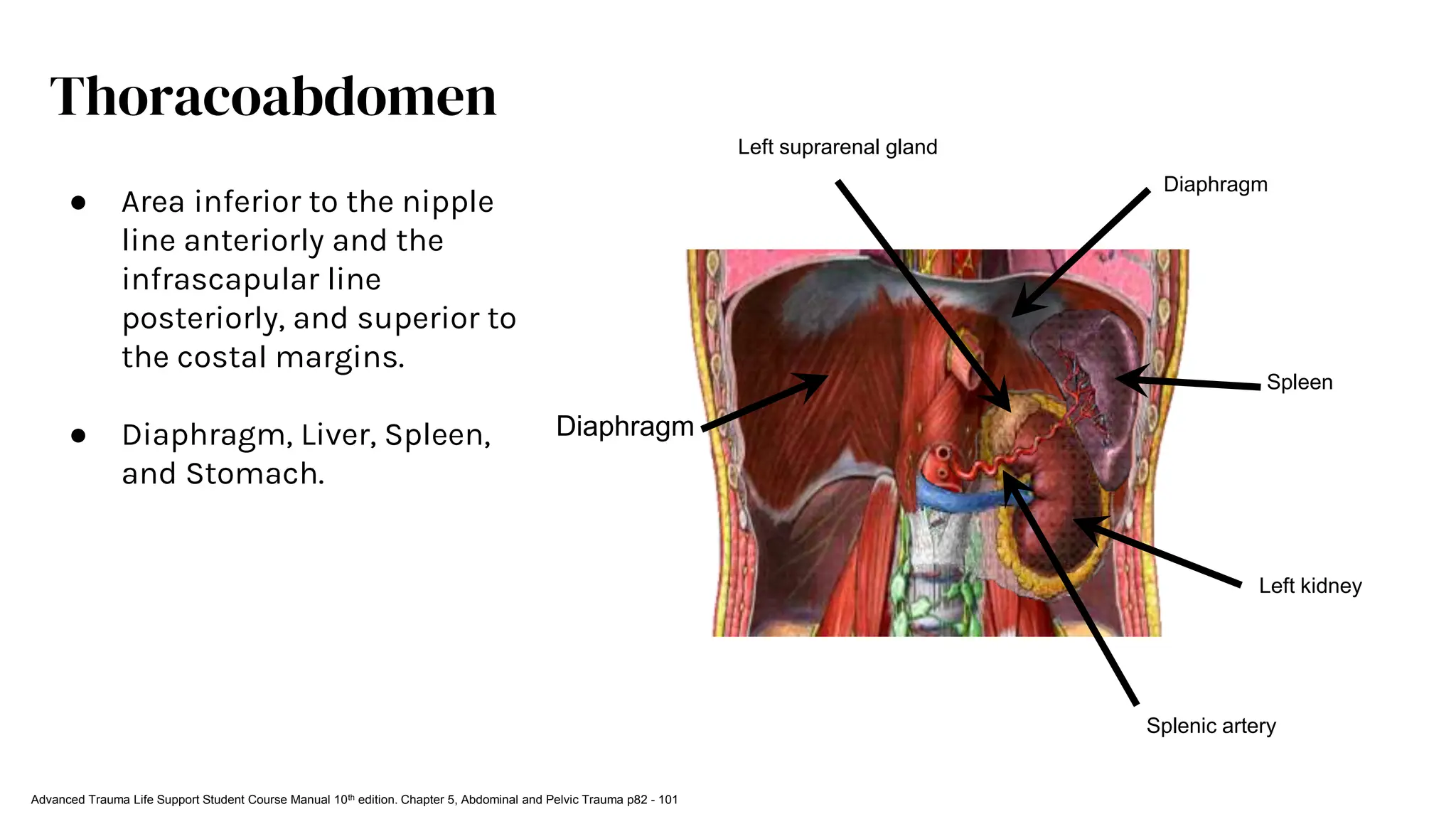 Blunt Abdominal Trauma | PPTX