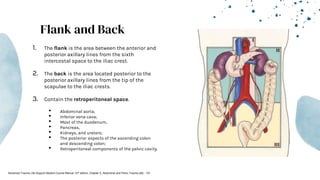 Blunt Abdominal Trauma | PPTX
