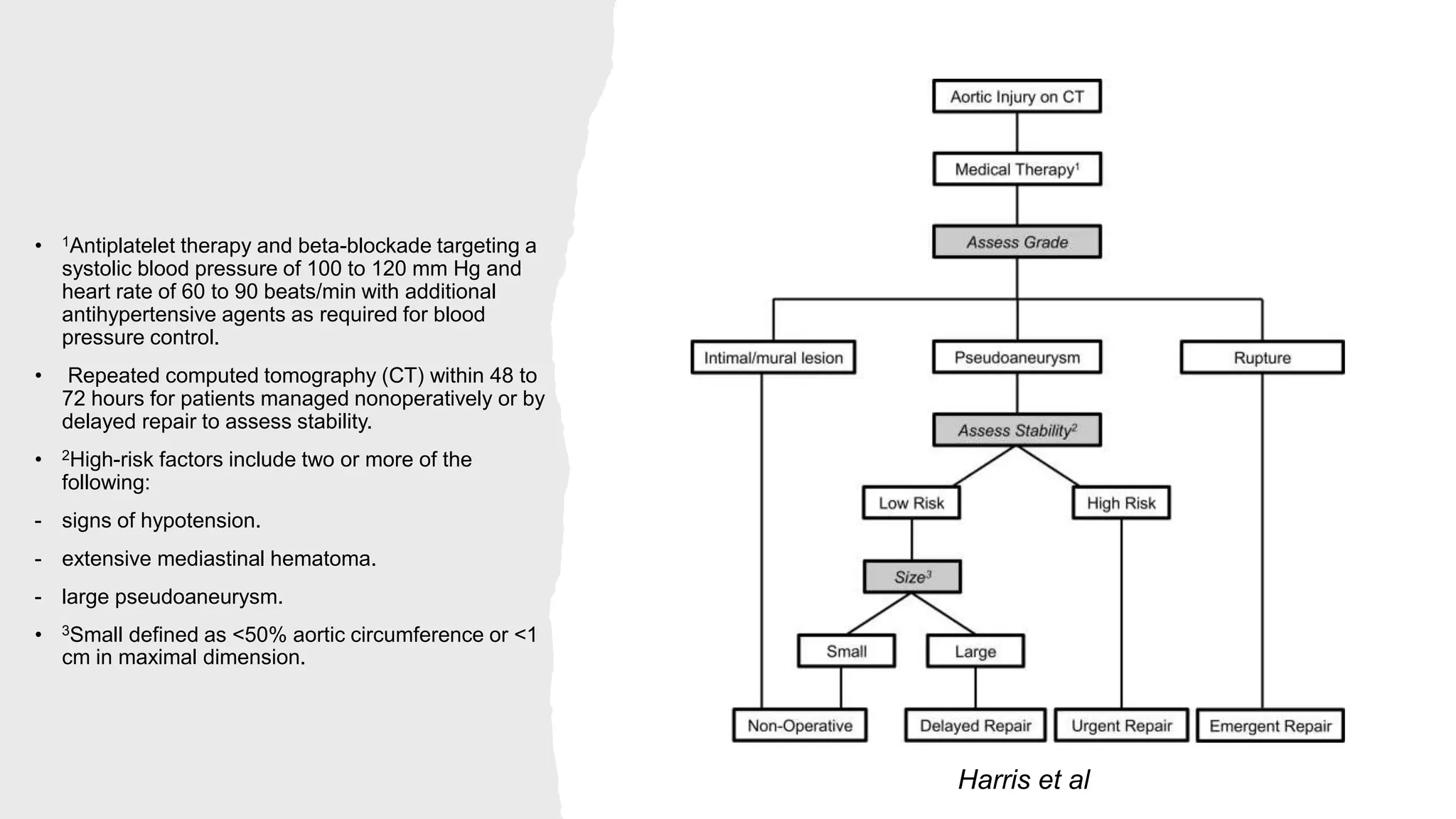 Blunt Thoracic Aortic Injury BTAI | PPSX