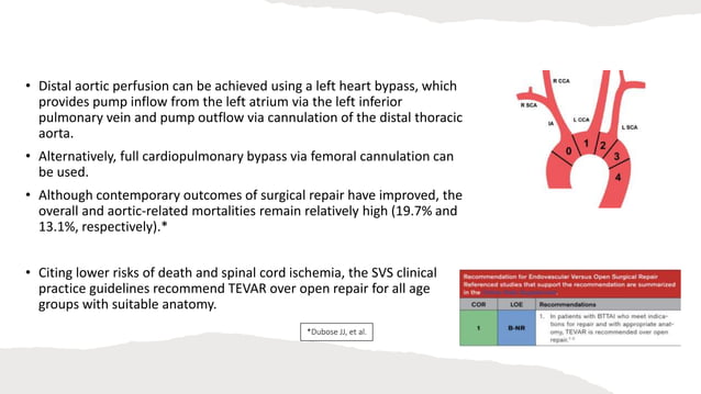 Blunt Thoracic Aortic Injury BTAI | PPSX | First Aid | Injuries