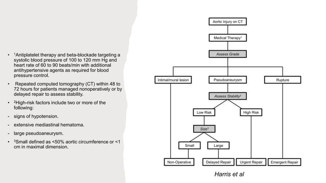 Blunt Thoracic Aortic Injury BTAI | PPSX | First Aid | Injuries