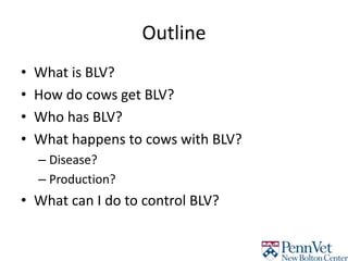 Bovine Leukosis Virus: What is it and What Does it Mean for Me? | PPTX