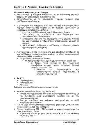 B lyk biology | PDF