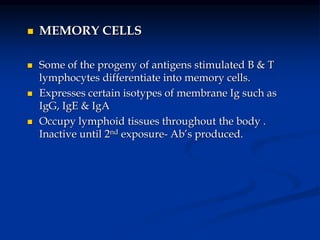 B LYMPHOCYTES IN CHRONIC PERIODONTITIS.ppt