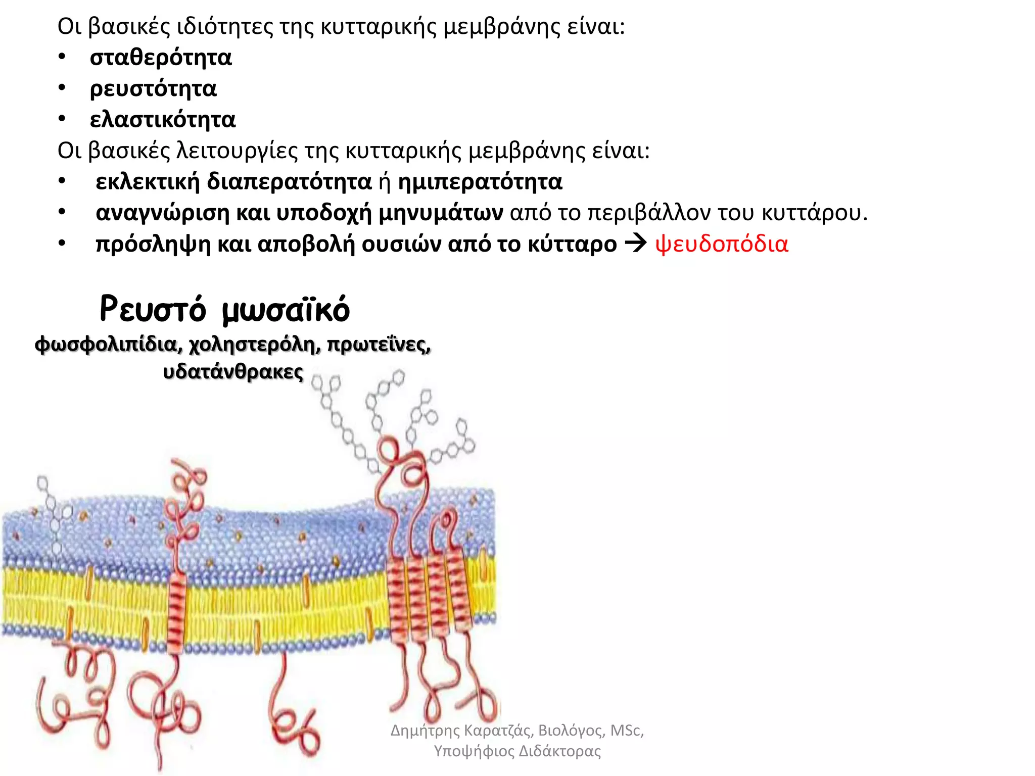 Μάθημα: Βιολογία. Β' Λυκείου. 2ο Κεφ.-Σημειώσεις σχολικού βιβλίου | PPTX