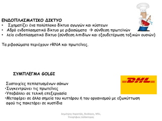 Μάθημα: Βιολογία. Β' Λυκείου. 2ο Κεφ.-Σημειώσεις σχολικού βιβλίου | PPTX