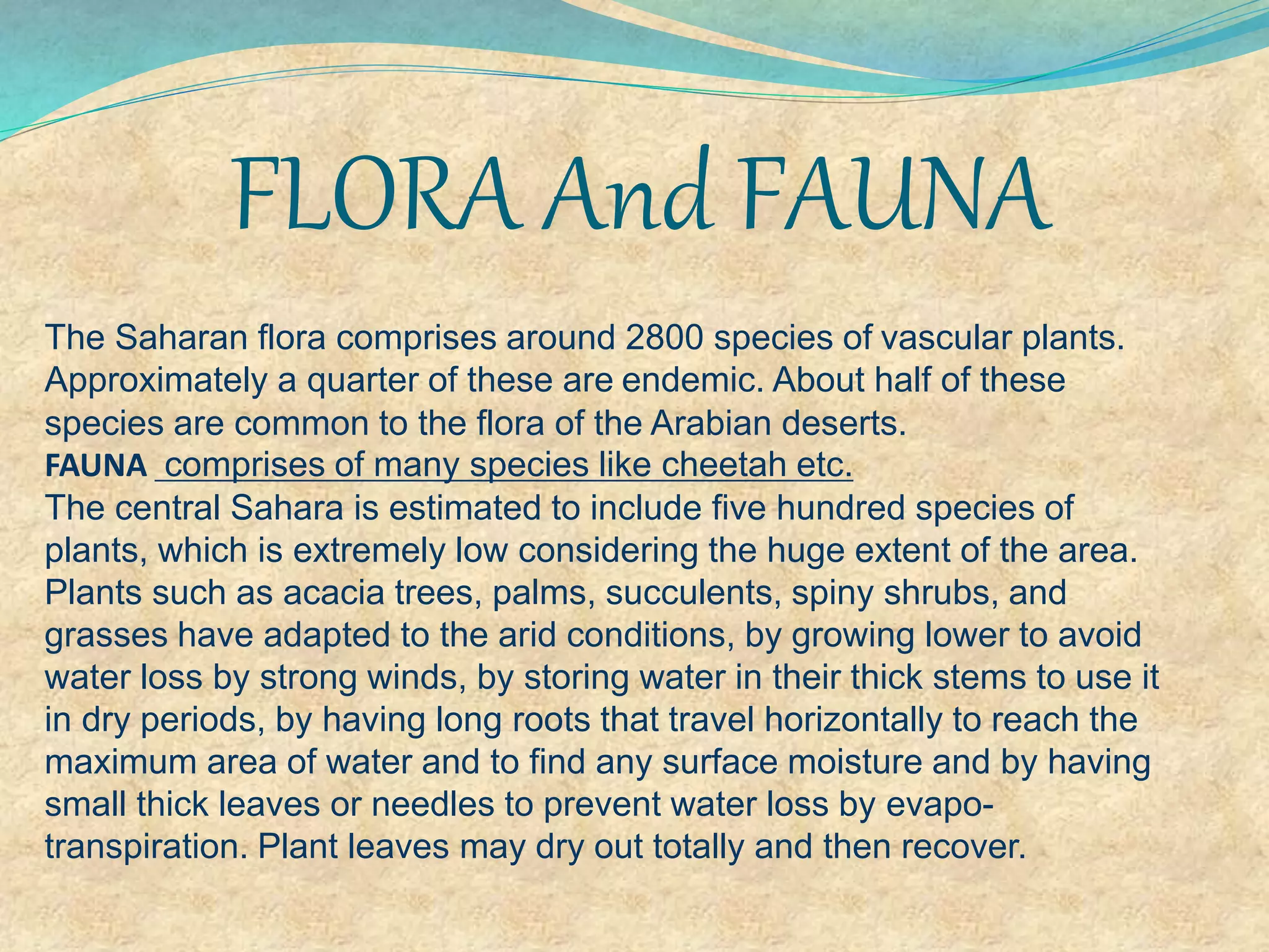 SAHARA DESERT VS THAR DESERT | PPTX
