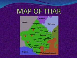 SAHARA DESERT VS THAR DESERT | PPTX