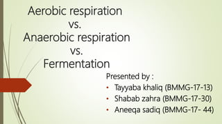 Aerobic Respiration vs Anaerobic Respiration vs Fermentation | PPTX
