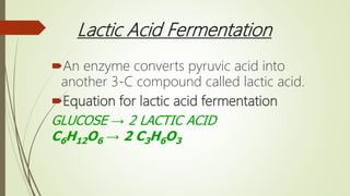Aerobic Respiration vs Anaerobic Respiration vs Fermentation | PPTX