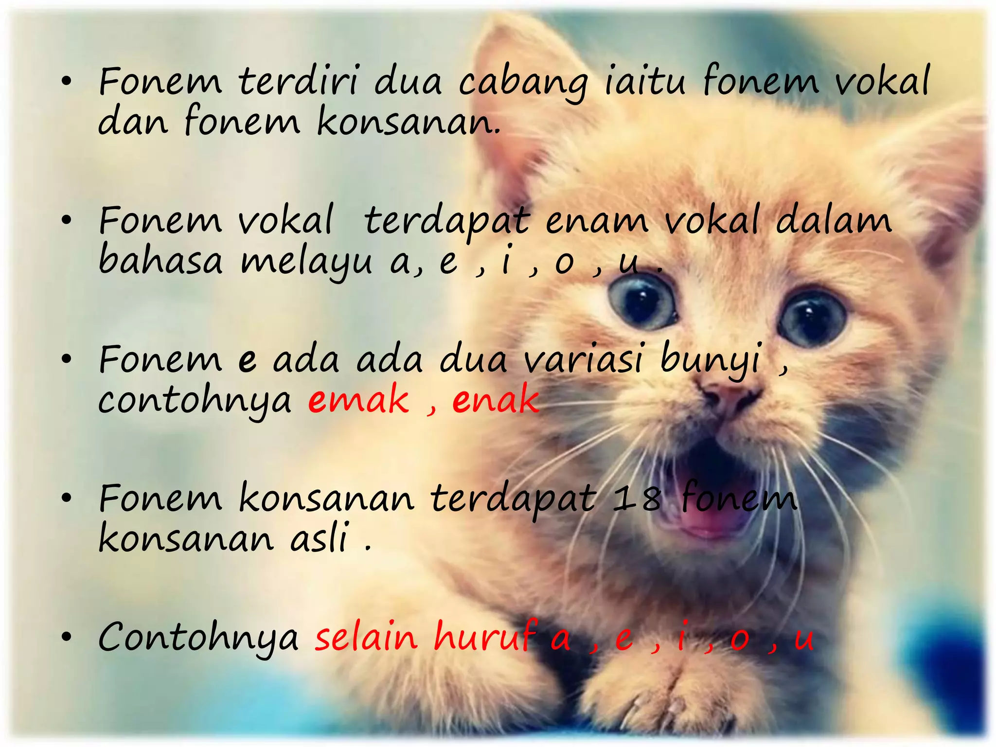 Bahasa Melayu : Fonologi Dan Fonetik | PPTX