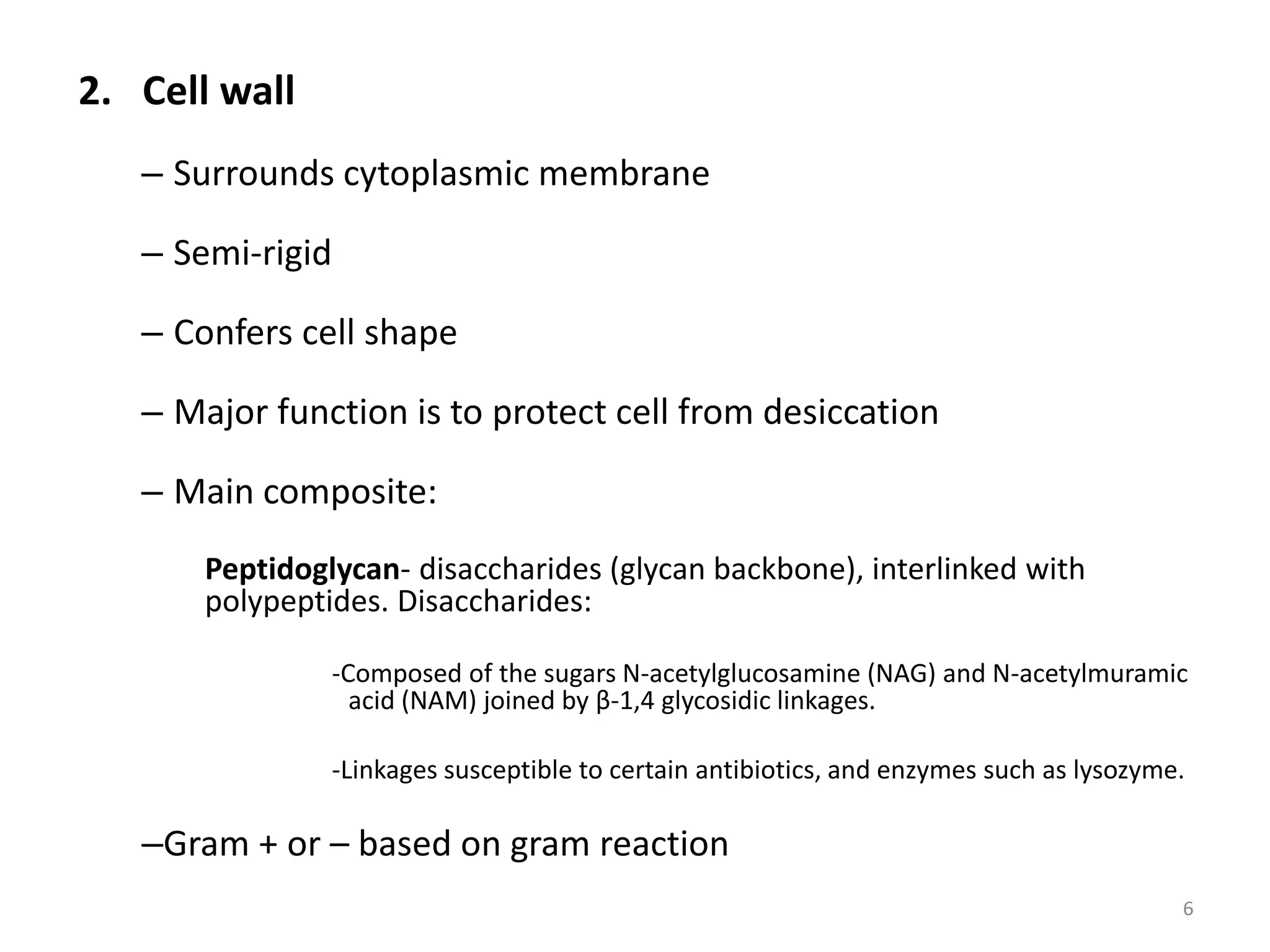 4 & 5. Microbial Physiology.pdf function metabolism | PDF