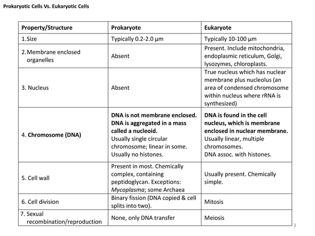 4 & 5. Microbial Physiology.pdf function metabolism | PPT