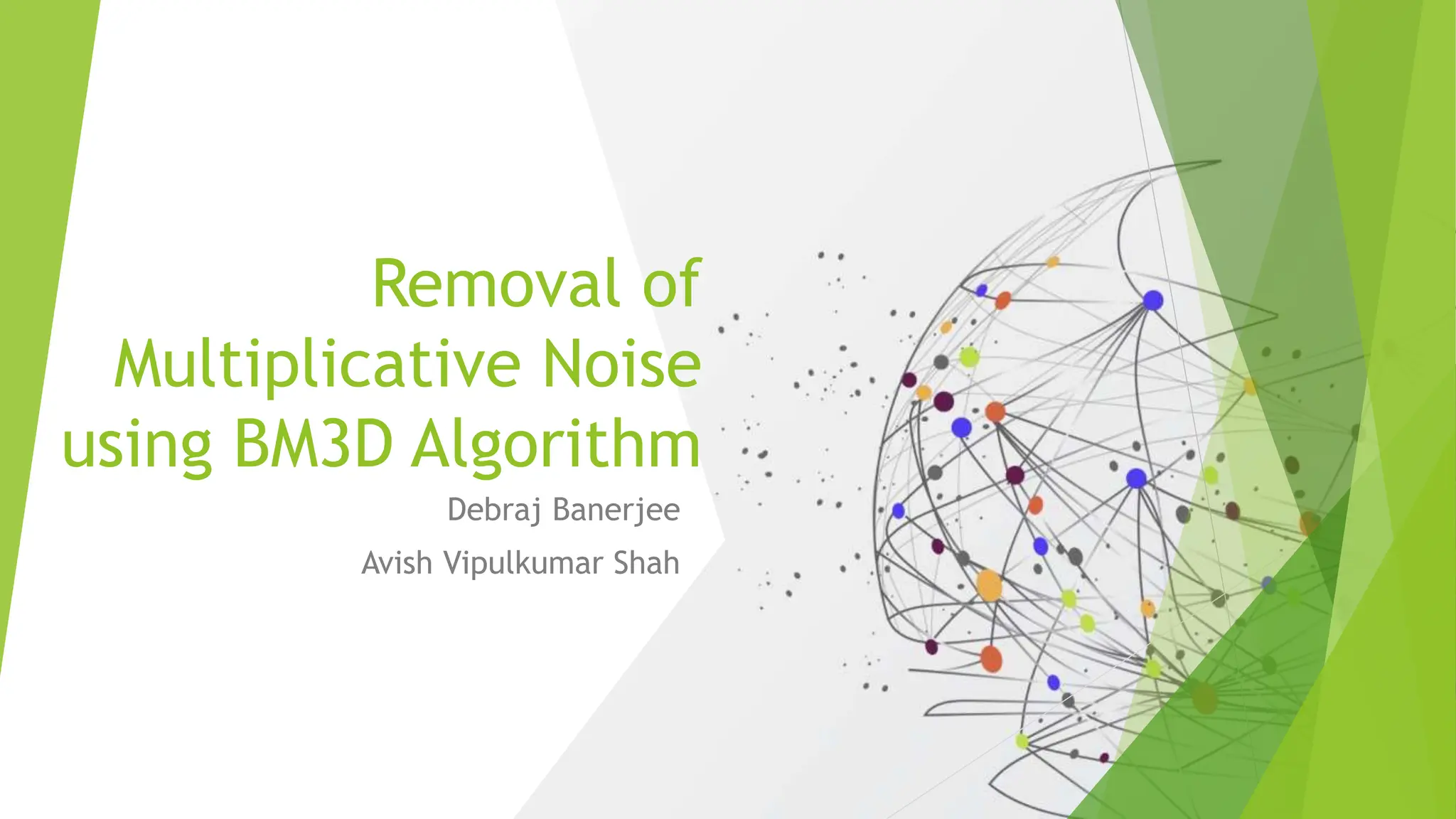 BM3D based Multiplicative Noise Removal.pptx