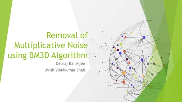 Bm3d Based Multiplicative Noise Removal Pptx