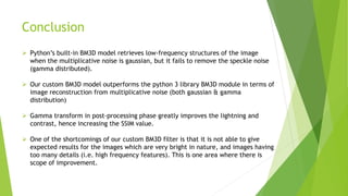BM3D based Multiplicative Noise Removal.pptx