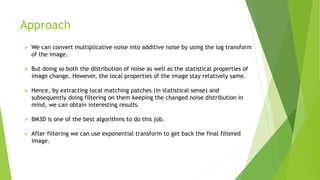 BM3D based Multiplicative Noise Removal.pptx