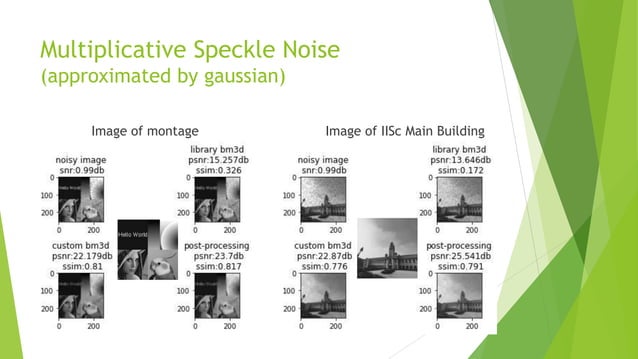 BM3D based Multiplicative Noise Removal.pptx