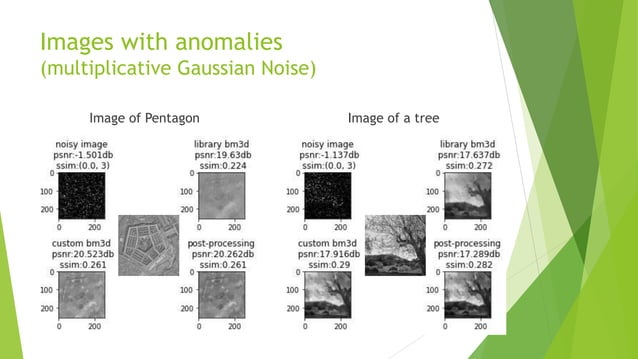 BM3D based Multiplicative Noise Removal.pptx