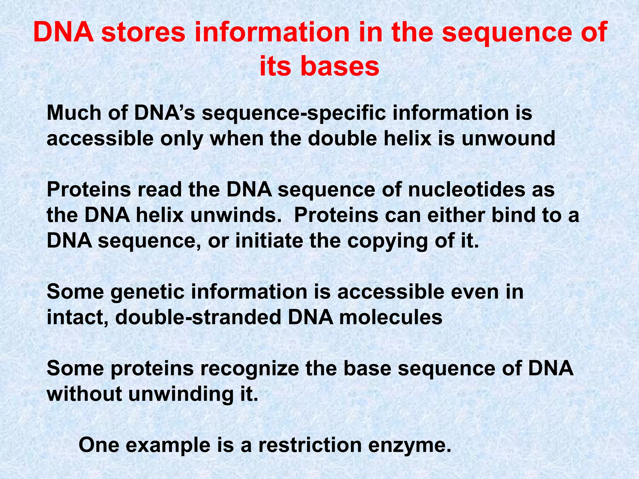 BMB314 DNA replication.ppt | Biological Sciences | Science