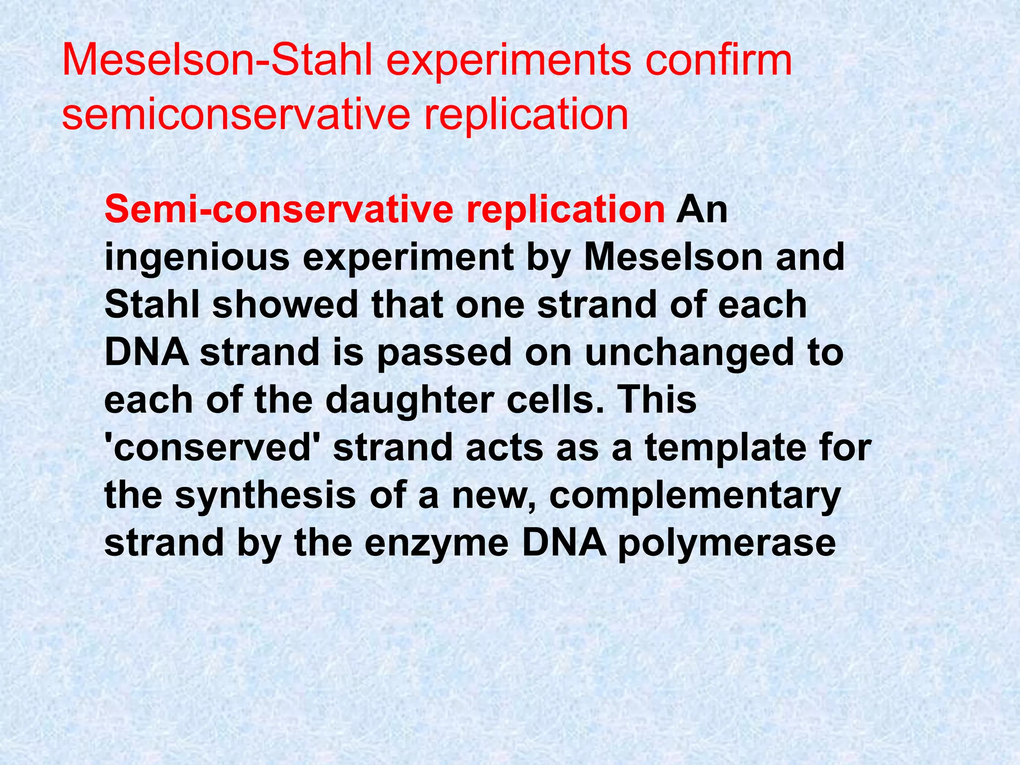 BMB314 DNA replication.ppt | Biological Sciences | Science