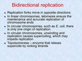 BMB314 DNA replication.ppt | Biological Sciences | Science