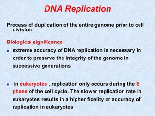 BMB314 DNA replication.ppt | Biological Sciences | Science