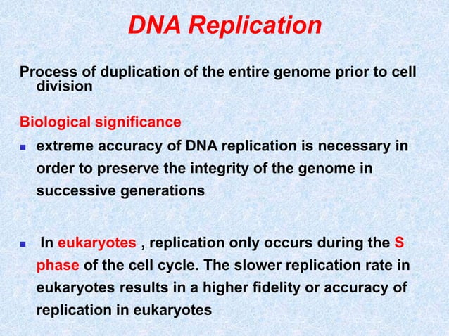 BMB314 DNA replication.ppt