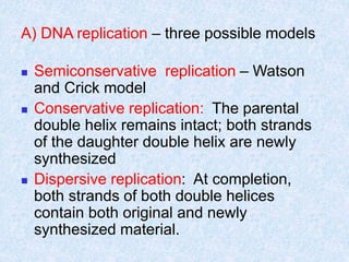 BMB314 DNA replication.ppt | Biological Sciences | Science