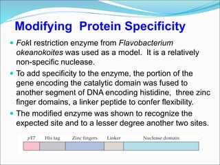 BMB 422 site directed mutag.-1.ppt