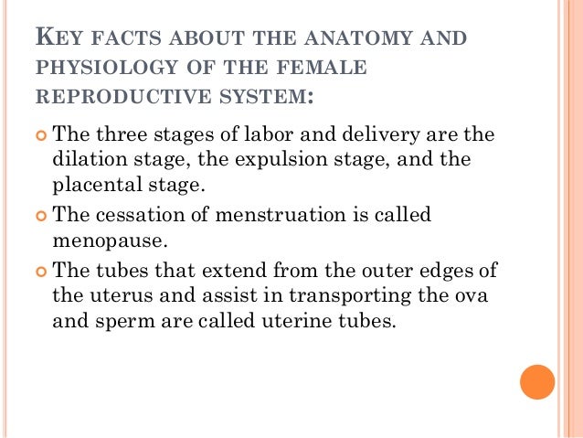 The Reproductive System the-reproductive-system