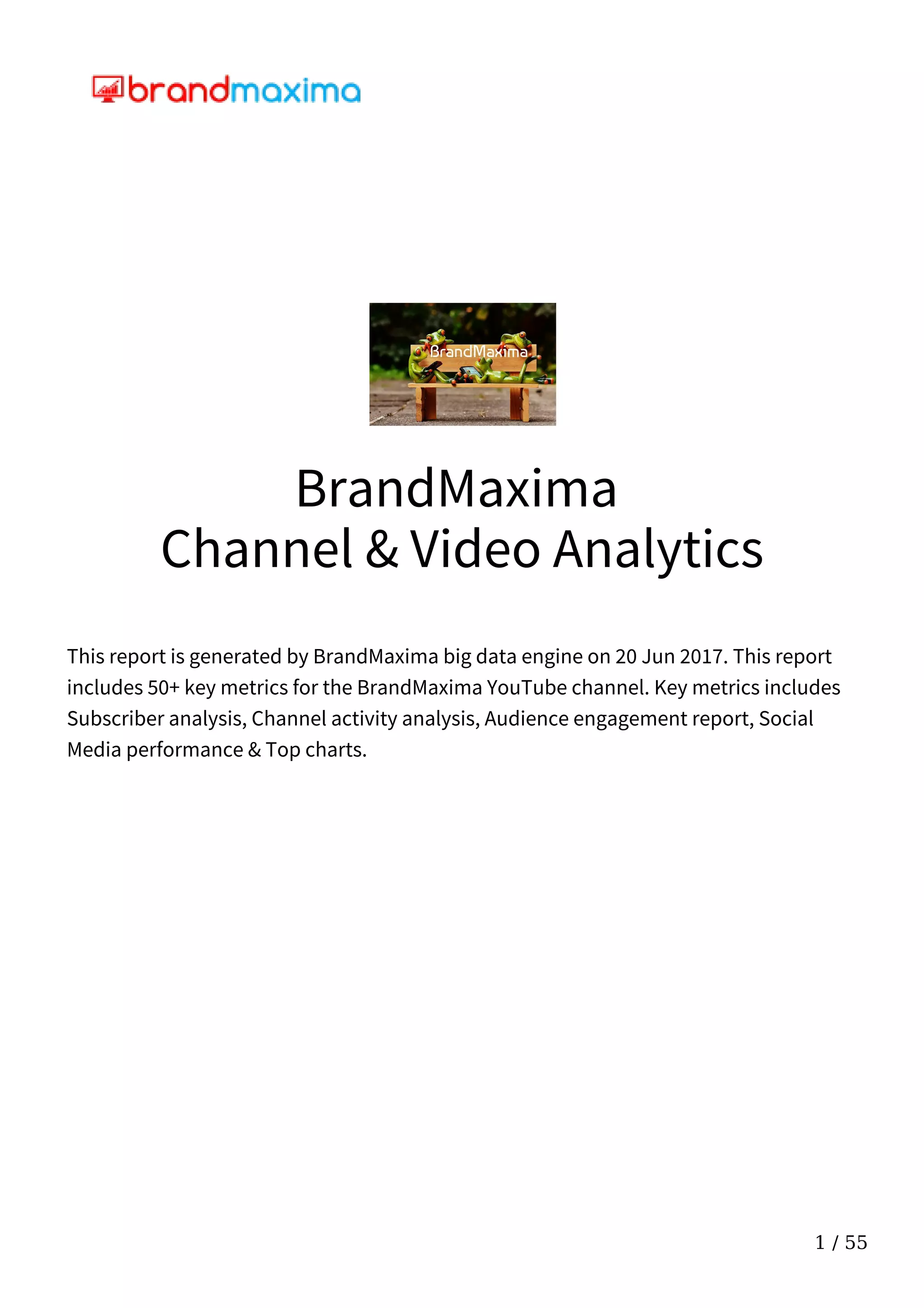 BrandMaxima Youtube Channel Analytics Demo Report | PDF