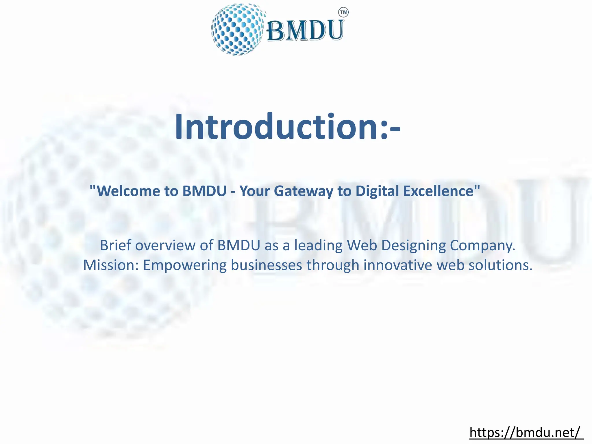 BMDU.Net.pptx