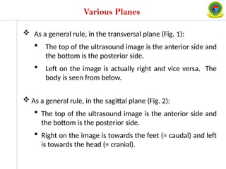 BME-Ultrasound imaging-medical imaging in BME | PPTX